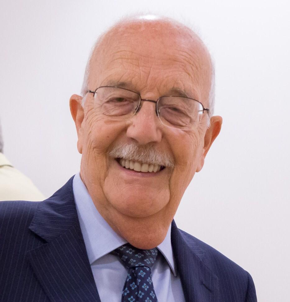 Addio al fratello Carlo Ricotti, presidente del Collegio del Lazio ...