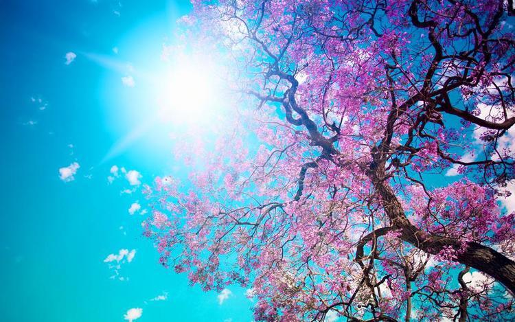 L'Equinozio di Primavera, quando luce e buio sono in perfetto ...